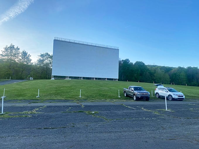 Dawn breaks over the Circle Drive-In, the massive screen a blank canvas awaiting tonight's stories while birds provide the day's soundtrack.