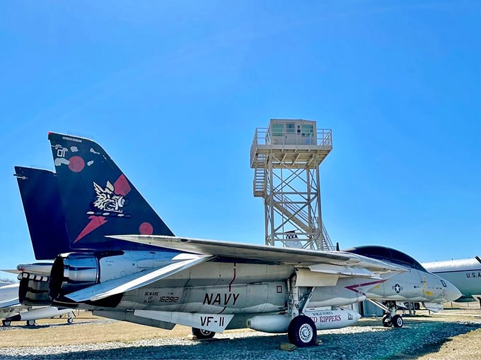 The F-14 Tomcat stands ready for its close-up, sporting a paint job that says, "I may be retired, but I still remember all my Maverick and Goose glory days."