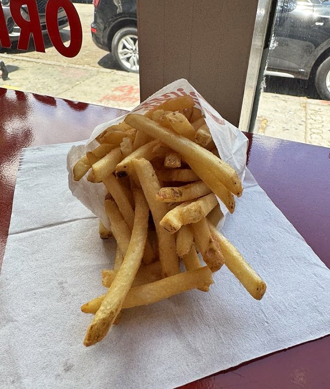 Golden, crispy, perfectly salted—these fries aren't sidekicks, they're co-stars in your personal food drama.