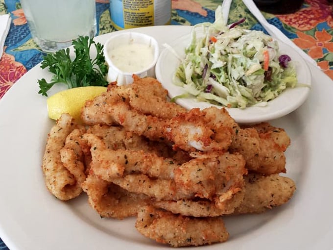 Calamari that doesn't require the jaw strength of a shark to chew through. Tender, seasoned perfectly, and served without pretension—seafood as it should be.
