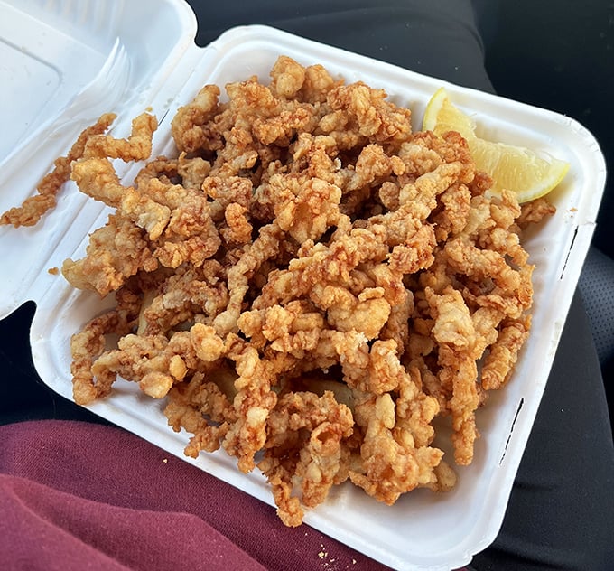 These aren't just fried clams—they're golden tickets to seafood nirvana, crispy on the outside, briny-sweet within. The lemon wedge isn't optional.