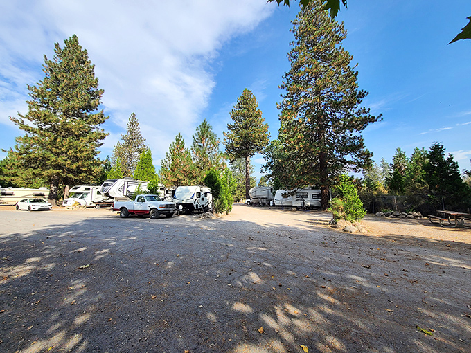 RV heaven under towering pines. Where "roughing it" means your satellite dish might need adjusting to catch the game.