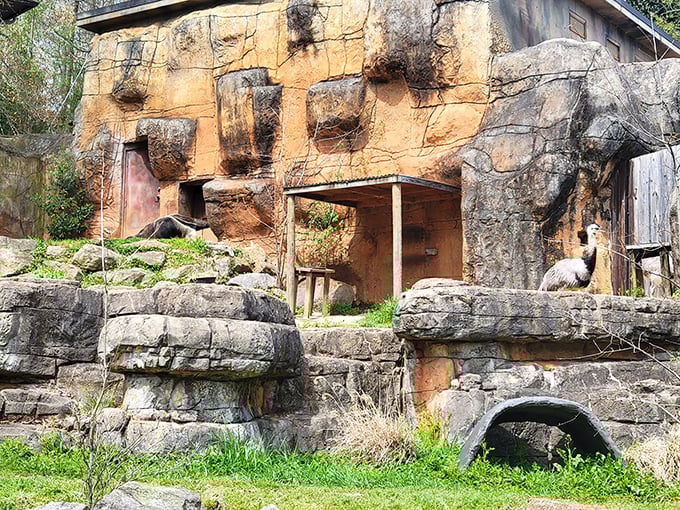 Nature’s stage, complete with stone seats and feathered actors — grab a front-row spot for today’s wild matinee.