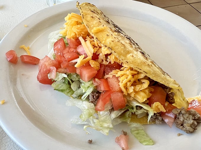 This taco doesn't need fancy garnishes or artisanal shells—just fresh ingredients speaking the universal language of deliciousness.
