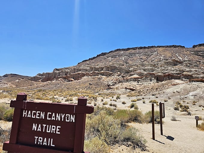 The Hagen Canyon Trail sign might as well read "This Way to Mars" – no spaceship required, just comfortable shoes.