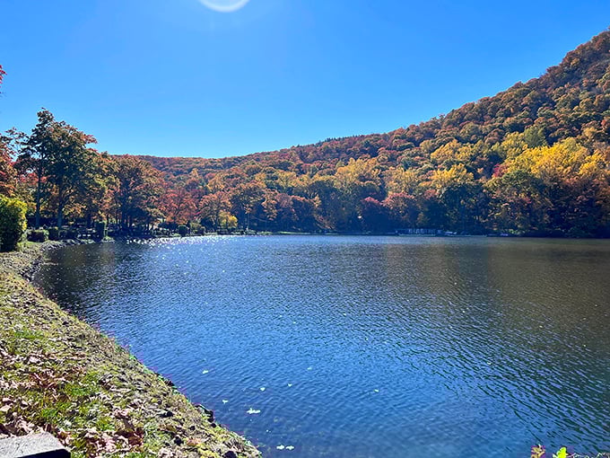 Hessian Lake in autumn glory—where the trees dress better than most New Yorkers. No fashion week required for this spectacular seasonal display.