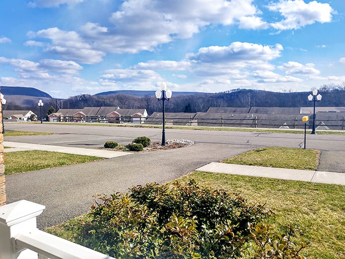 Winter in the Poconos shows off a different kind of beauty. Those mountains don't hibernate – they just change outfits for the season.