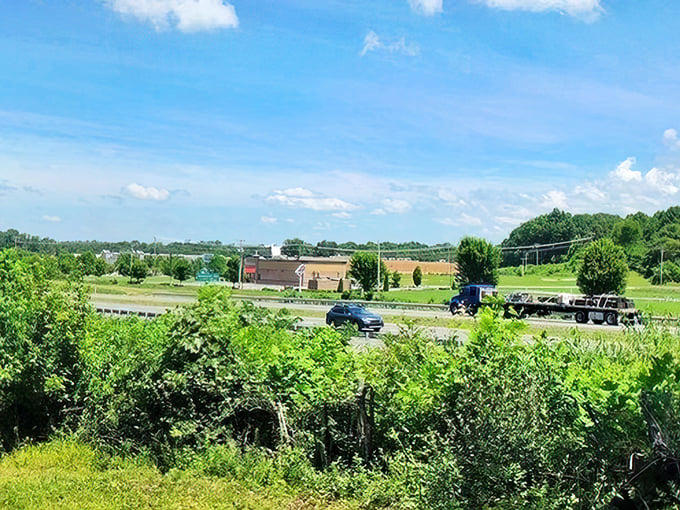 The road less traveled sometimes offers the best views – Fayetteville's surrounding countryside provides a green escape from the digital world.