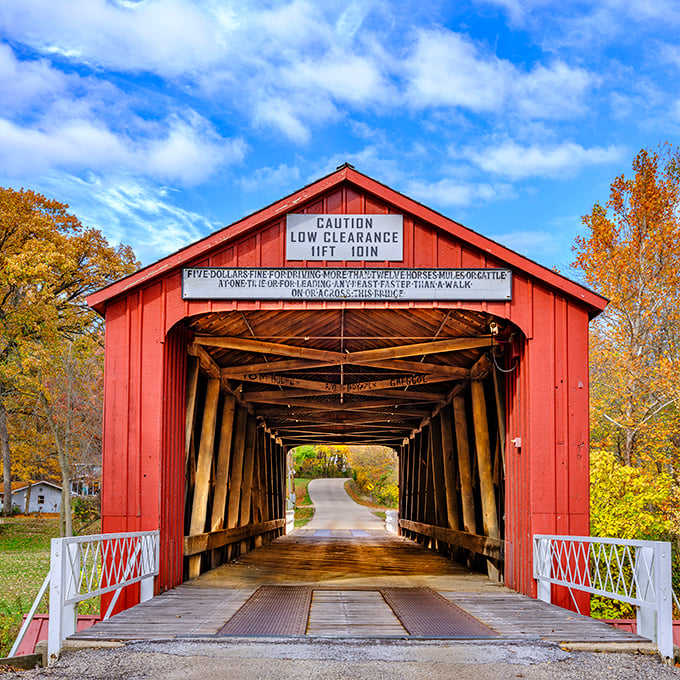 The Red Covered Bridge stands as a crimson sentinel guarding passage across Bureau Creek, its weathered timbers whispering stories of horse-drawn carriages and Model Ts.