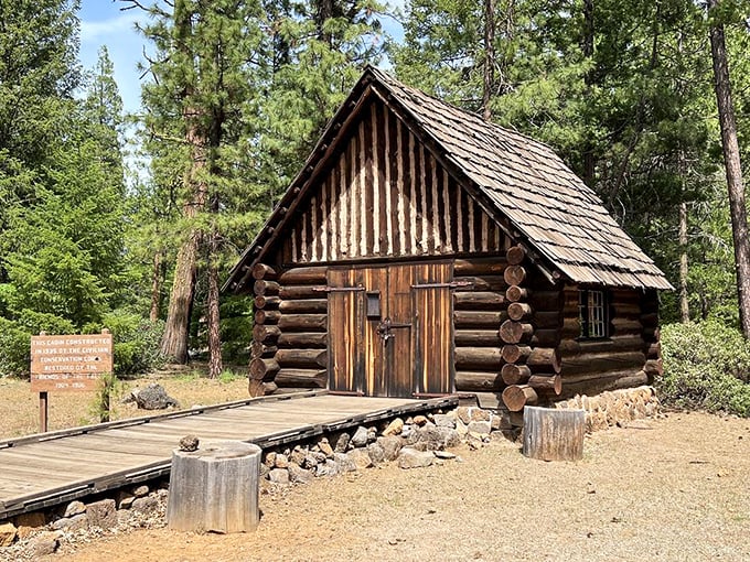 Pioneer chic at its finest. This meticulously preserved log cabin offers a glimpse into the rugged lives of early settlers in the region.