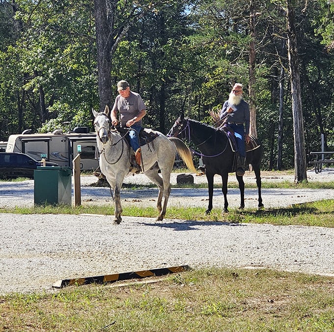 Saddle up, partners! These equestrian explorers prove that sometimes the best way to experience Devil's Den is from horseback—nature's original four-wheel drive.