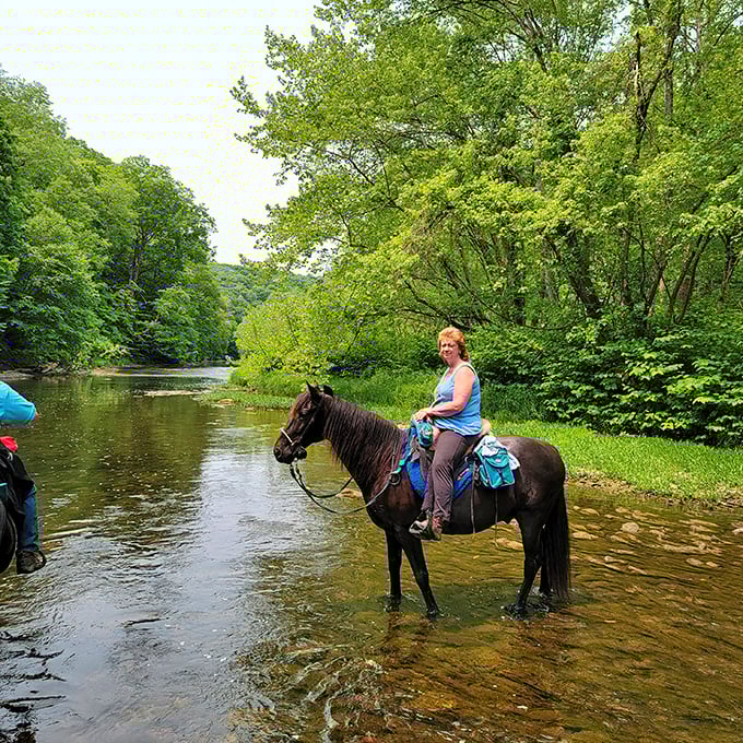 Crossing Little Beaver Creek on horseback—when "horsepower" meant something entirely different. A timeless way to experience Ohio's natural beauty.