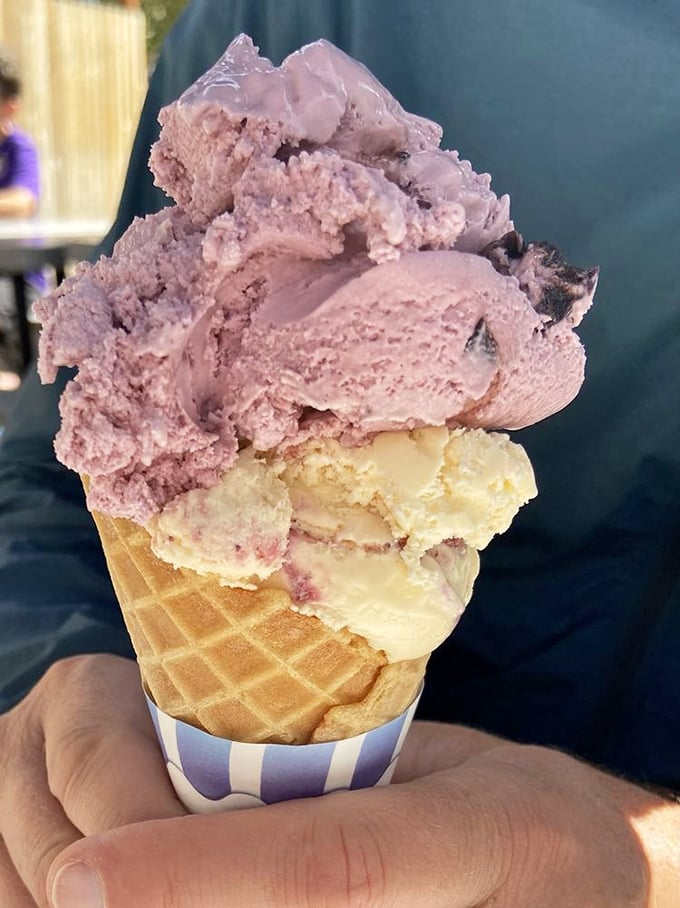 Two scoops of homemade heaven on a waffle cone. The pink and vanilla combo isn't just ice cream—it's edible nostalgia.