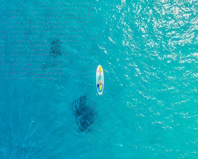 The water so clear you can count fish from your paddleboard—Catalina's aquamarine playground makes the Caribbean look like it needs to up its game.