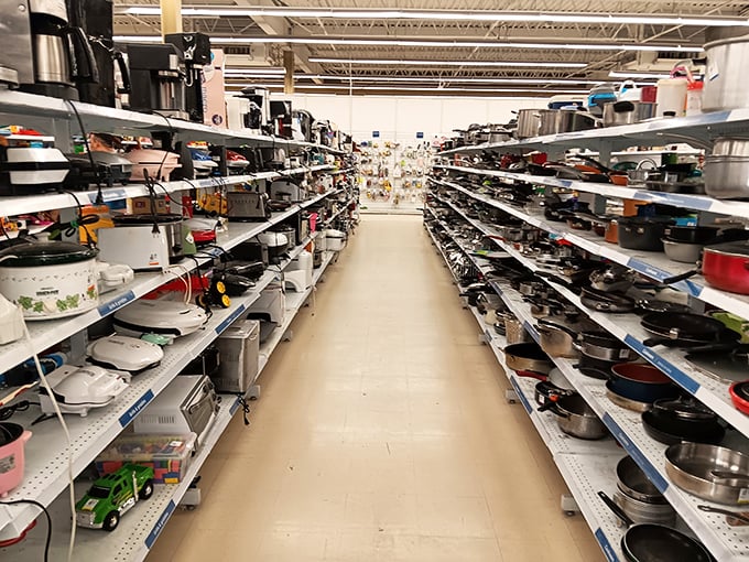 The small appliance aisle: where yesterday's must-have kitchen gadgets find new purpose. Your grandmother's waffle iron has cousins here.
