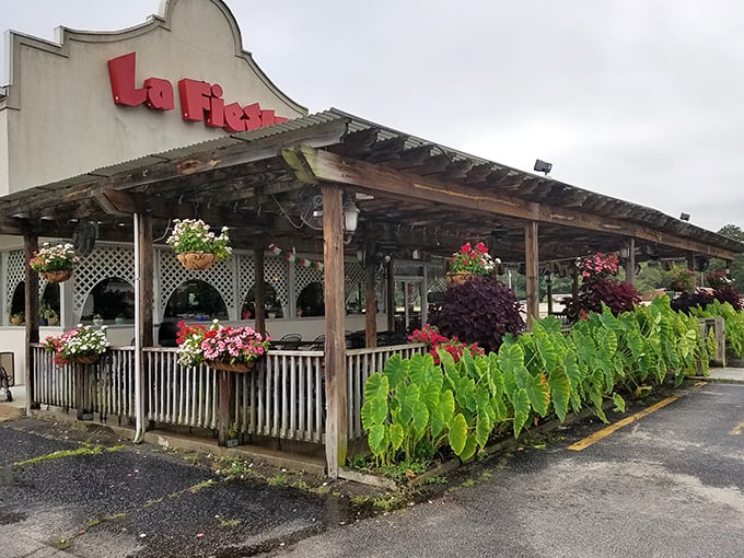 La Fiesta's patio bursts with colorful flowers that compete with the food for which is more vibrant—spoiler alert: it's a delicious tie every time.