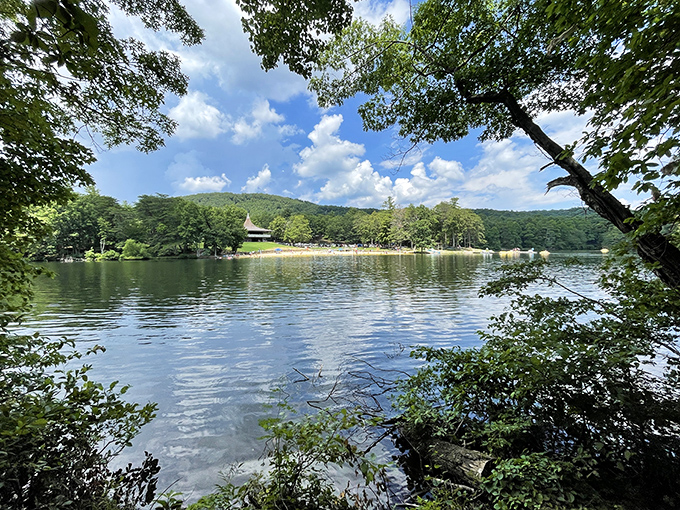 Summer's embrace turns the mountain lake into a refreshing oasis, where forest meets water in a scene straight from a travel brochure.