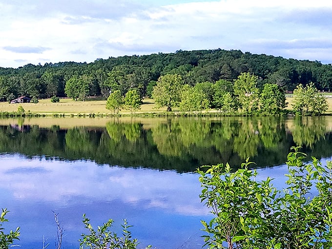 Mirror, mirror on the lake—reflecting Missouri's natural beauty with such perfection that even the most dedicated selfie-takers will turn their cameras the other way.