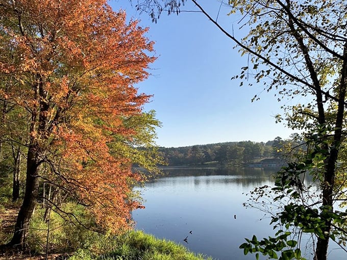 That perfect moment when the autumn trees frame the lake like nature's own masterpiece. No filter needed—or even possible.