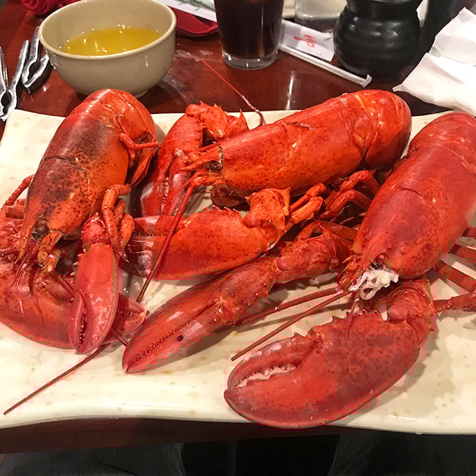 Bright red lobsters that would make any New England fisherman proud - all-you-can-eat luxury at its finest.