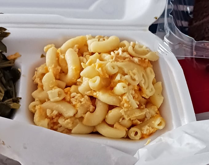 Mac and cheese that doesn't just sit on the plate—it performs, with each elbow noodle perfectly coated in cheese that stretches like it's auditioning for Cirque du Soleil.