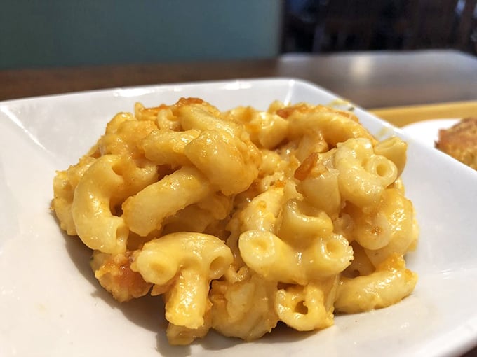 Mac and cheese that doesn't know it's a side dish – this creamy masterpiece demands center stage attention.