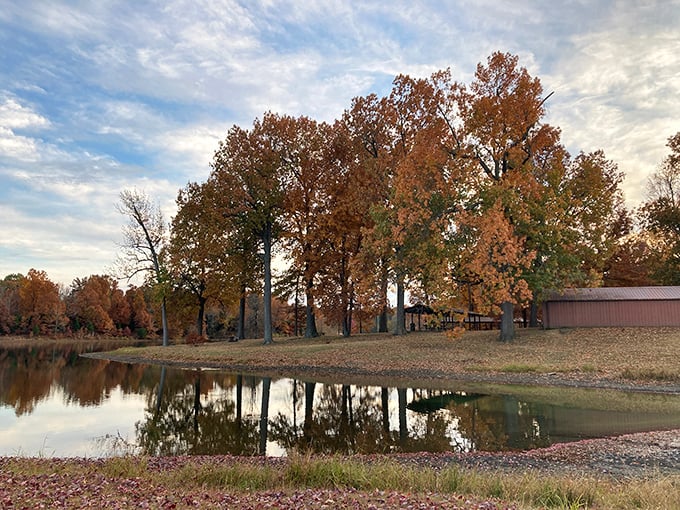 Autumn's paintbrush transforms lakeside trees into fiery sentinels, their perfect reflections doubling nature's spectacular show. 