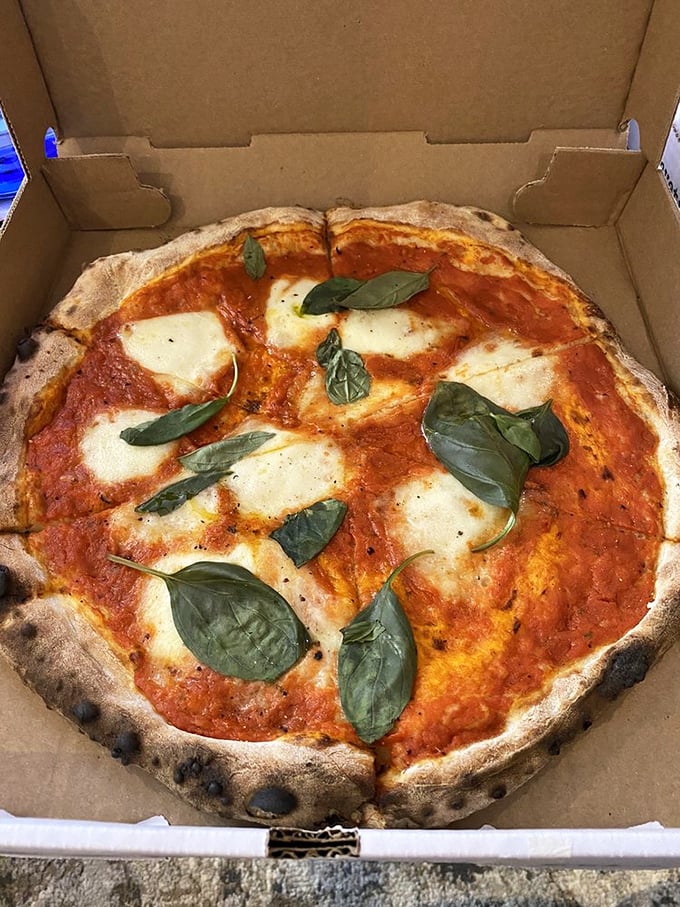 The Margherita pizza in its cardboard throne – proof that simplicity reigns supreme. Those basil leaves aren't garnish; they're essential characters in this Italian drama.