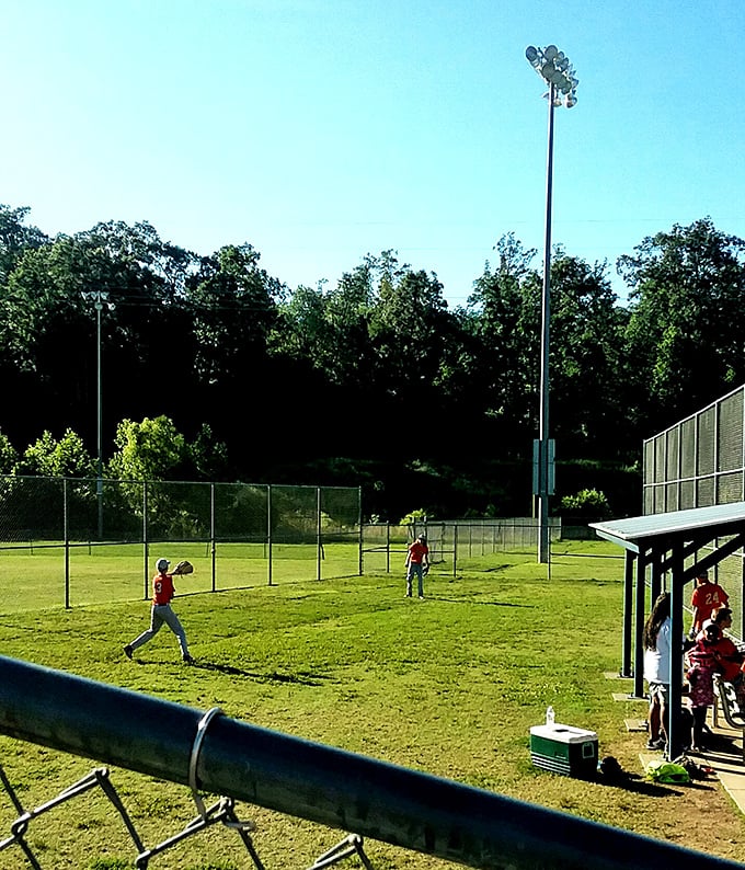 Little League fields where community still matters and nobody's checking their stock portfolio between innings. Simple pleasures with bleacher seating included.