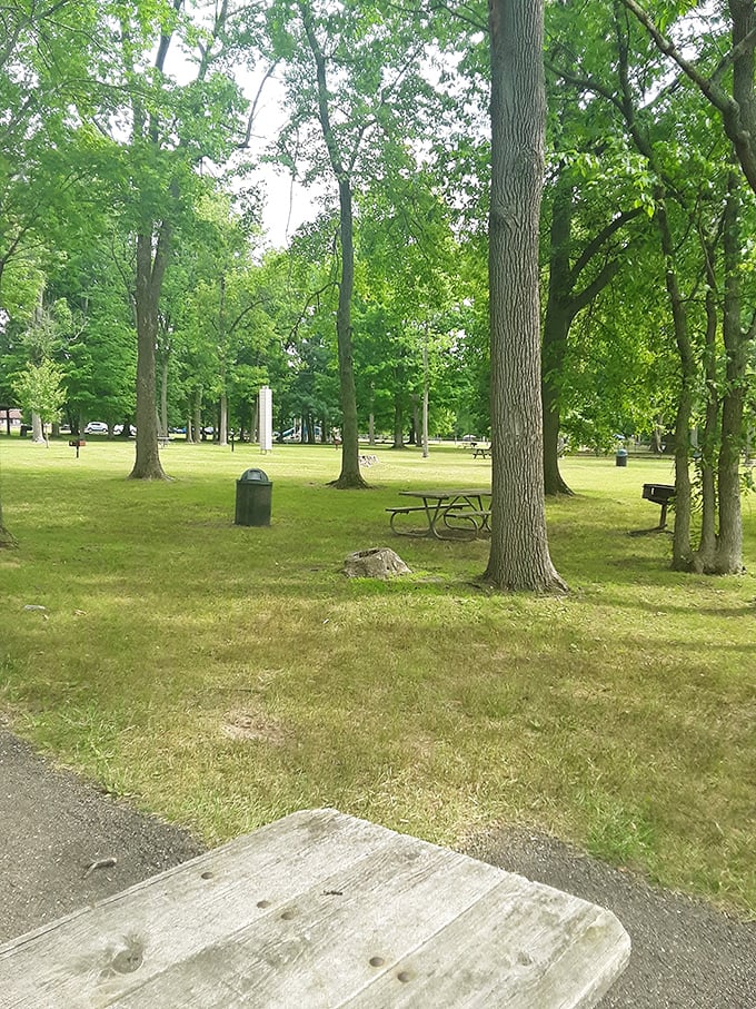 Mill Creek Park offers a tranquil respite from shopping, where century-old trees provide shade and perspective on what really matters.