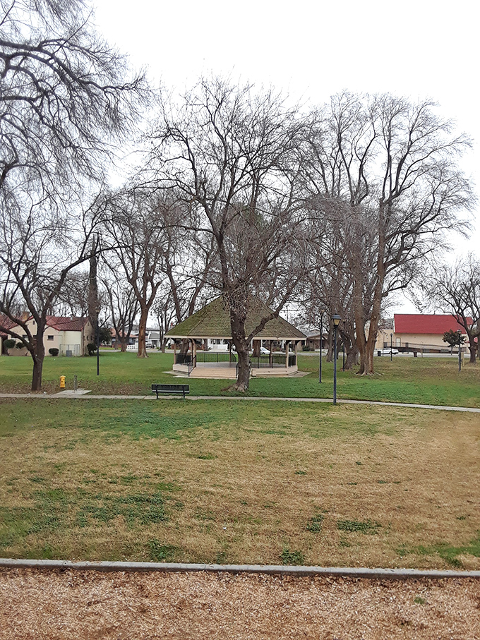 Miller Park's gazebo has witnessed everything from first kisses to retirement celebrations—the unofficial living room of Gustine's community life.