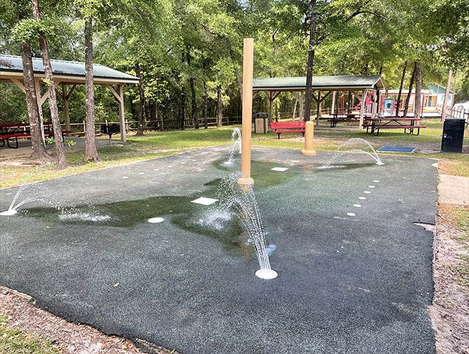Mossy Head Park's splash pad—where grandkids burn energy and grandparents secretly wish they could join in without judgment.