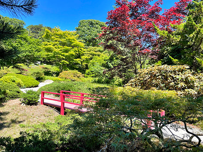 Mytoi Garden's red footbridge pops against verdant Japanese maples—a tranquil oasis that feels like someone dropped Kyoto into the middle of New England.