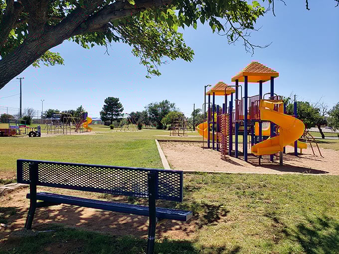 Newman Park's playground sits waiting for laughter under the shade of old trees—a timeless scene that hasn't changed much since Eisenhower was president.