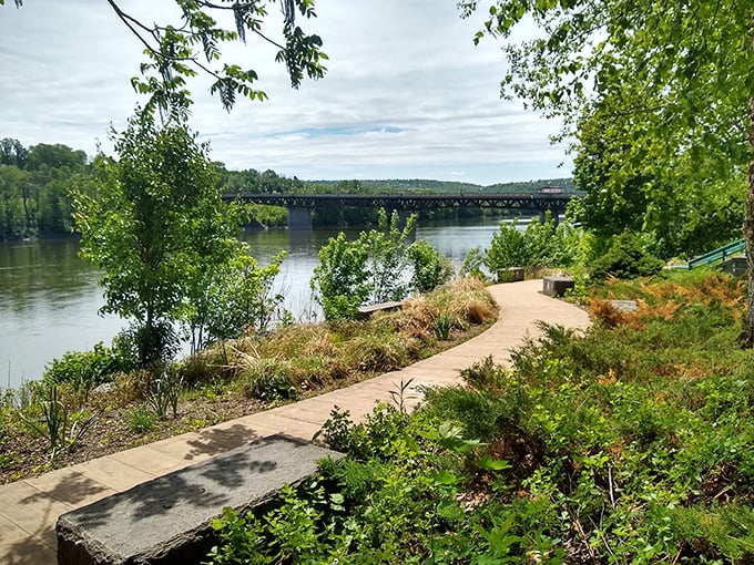 The Susquehanna River doesn't just flow through Owego—it embraces it. This walking path offers views that Instagram filters can't improve.