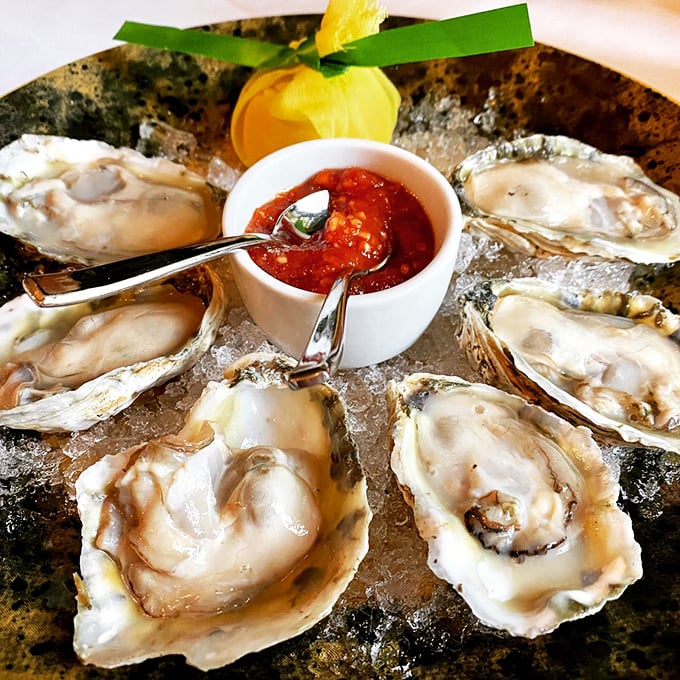 Fresh oysters on crushed ice – nature's perfect appetizer. These briny treasures of the sea need nothing more than a squeeze of lemon and good company.
