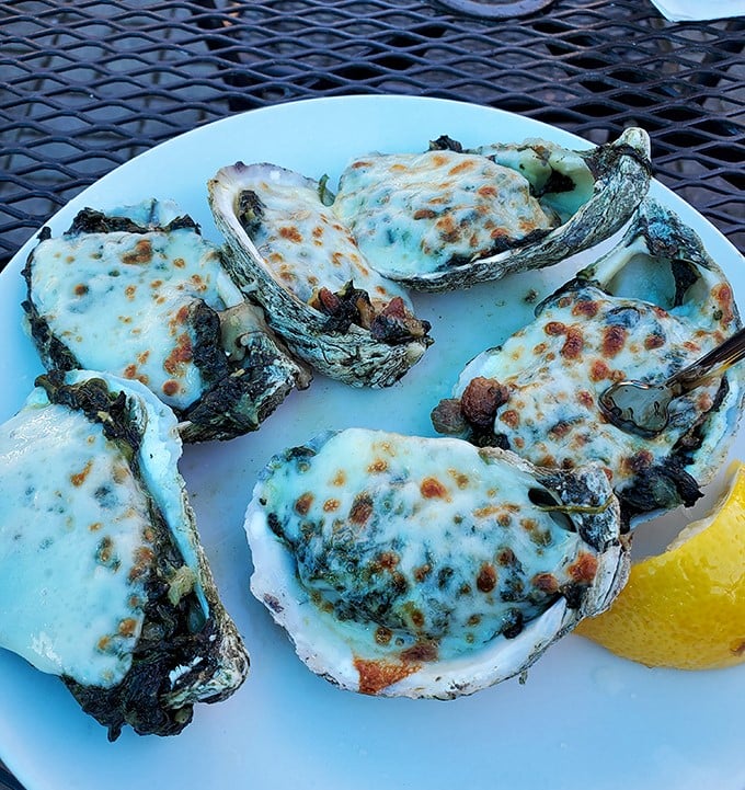 Oysters Rockefeller done right—broiled to bubbly perfection with a golden crown of cheese. Neptune himself would approve of this presentation.