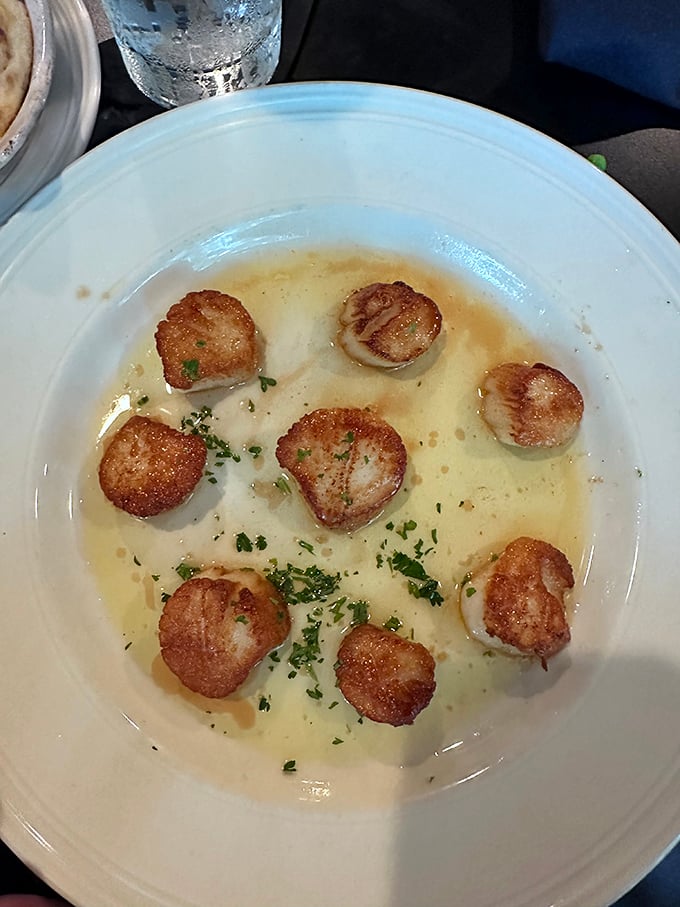 These scallops aren't just seared—they're transformed into golden medallions of perfection swimming in a buttery sea that demands bread for dipping.