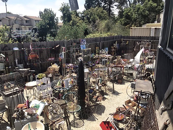 The outdoor treasure garden—where rusty gold basks in California sunshine. One person's "needs tetanus shot" is another's "perfect patio accent."