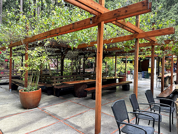 The peaceful picnic area provides a perfect spot to contemplate the laws of physics you've just seen broken, all under a canopy of majestic redwoods.