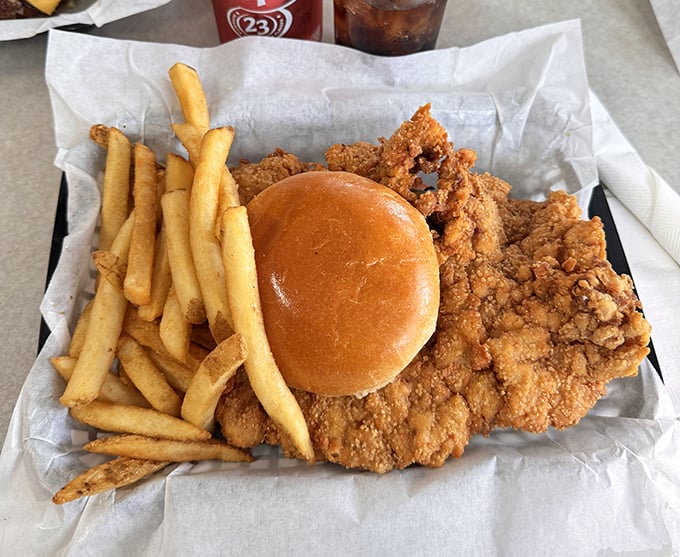 Indiana's famous pork tenderloin sandwich – where the meat-to-bun ratio suggests someone forgot to tell the pork it wasn't supposed to be the size of a frisbee.
