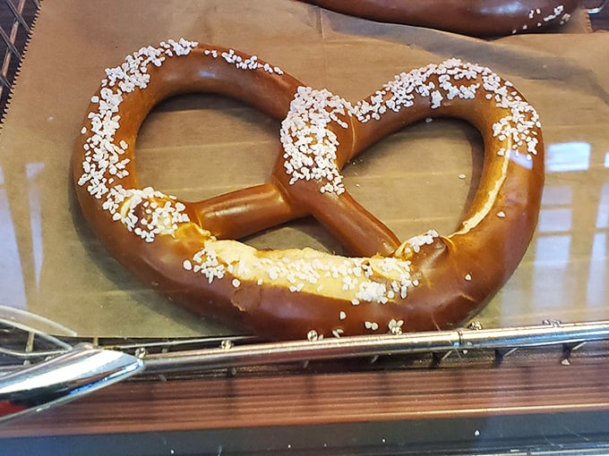 This pretzel isn't just twisted dough—it's German engineering at its finest, with salt crystals sparkling like tiny diamonds on a bronzed, carb-laden crown.