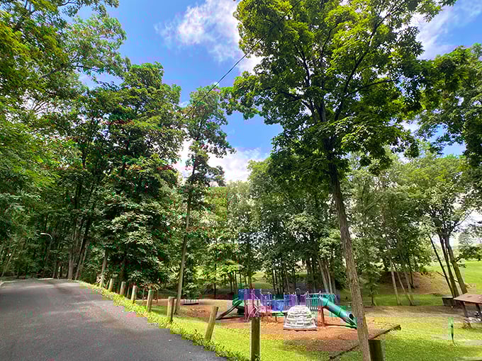Princeton City Park offers that perfect blend of shade trees and playground equipment – childhood memories waiting to be made.