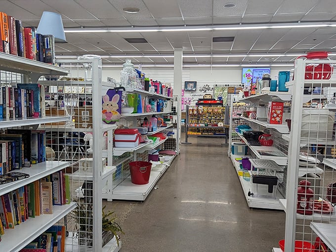 Books and household treasures line these aisles like an archaeological dig through modern American life – each shelf a different era.
