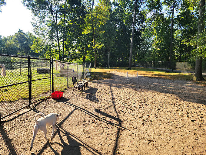 Even four-legged friends live the good life in Putnam, where the dog park offers canine luxury without the designer price tag.