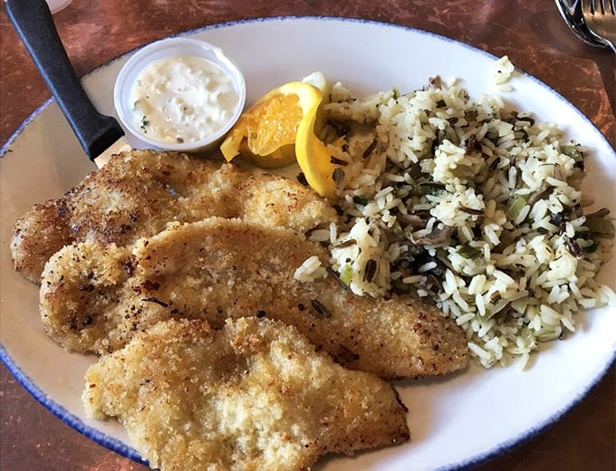Golden razor clams nestled next to rice pilaf – proof that simple done right beats complicated every time.