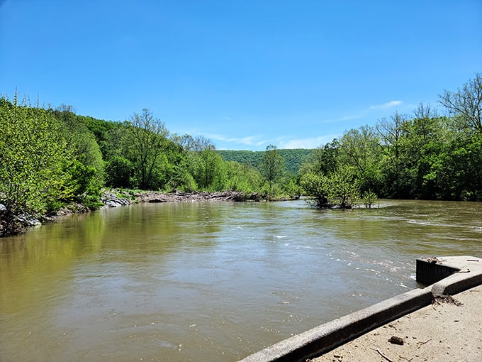 The river in springtime—swollen with possibility and mountain runoff, reminding us that nature operates on its own magnificent schedule.