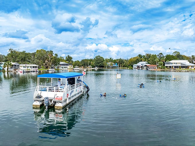 "Swimming with manatees" tour boats await their next group of visitors who'll soon be texting friends: "You won't believe what just nuzzled me!"