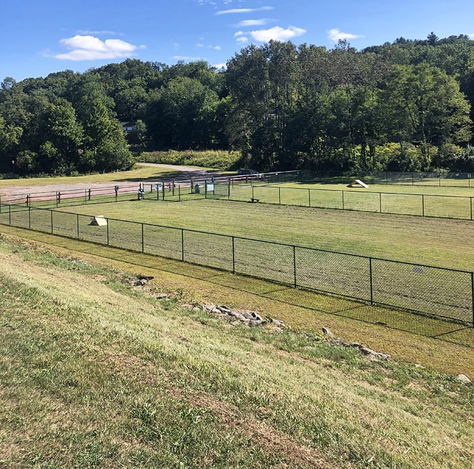 This dog park isn't just for the pups—it's where humans pretend they're not secretly enjoying the fresh air and mountain views too.