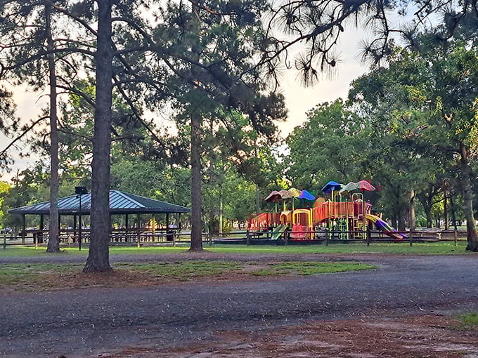 Ronnie Van Zant Memorial Park offers colorful playgrounds and shaded pavilions where grandkids can burn energy while you enjoy a moment of blessed sitting.